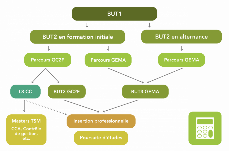BUT GEA Présentation | IUT Rodez